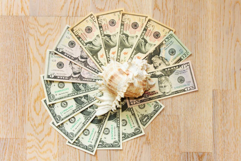Sea shell on dollar bills stock image. Image of president - 39834185