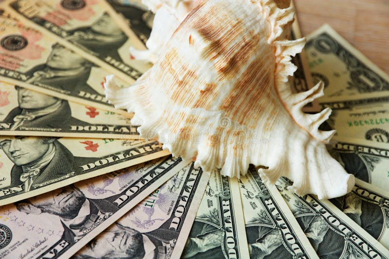 Sea shell on dollar bills stock image. Image of travel - 39833885