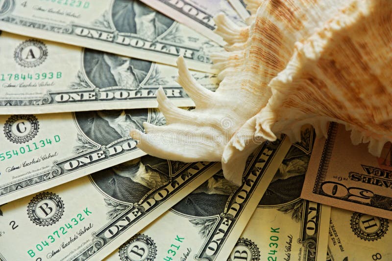 Sea shell on dollar bills stock image. Image of cruise - 39834065