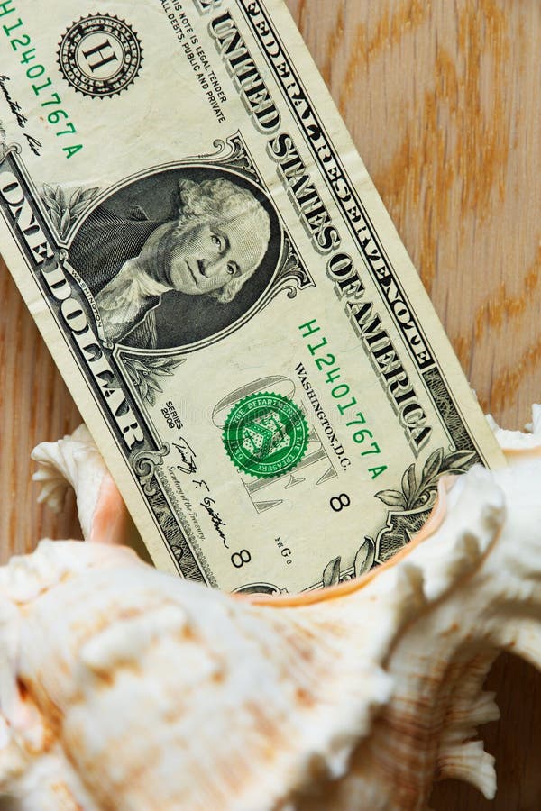 Sea shell on dollar bills stock image. Image of travel - 39833885