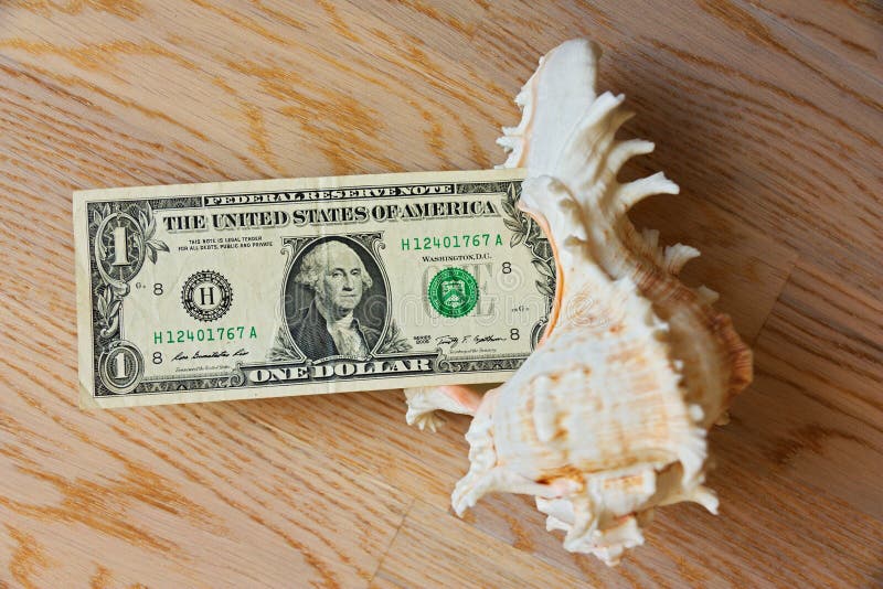 Sea shell on dollar bills stock photo. Image of green - 39833902