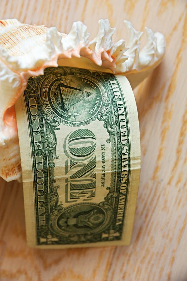 Sea shell on dollar bills stock image. Image of president - 39834185