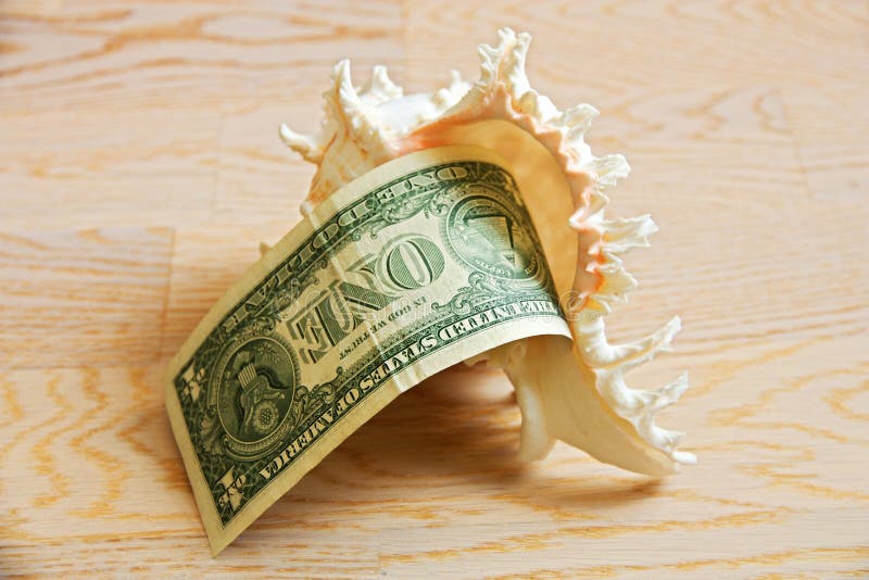 Sea shell on dollar bills stock image. Image of cruise - 39834065