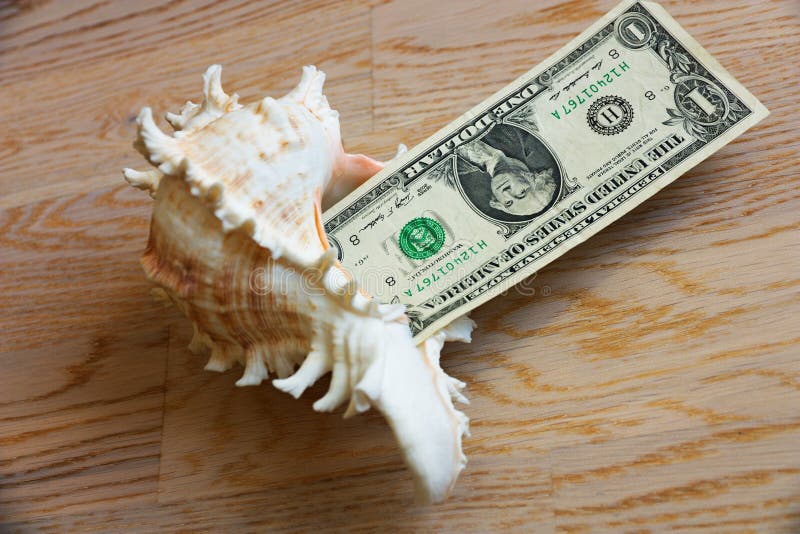 Sea shell on dollar bills stock image. Image of president - 39834037