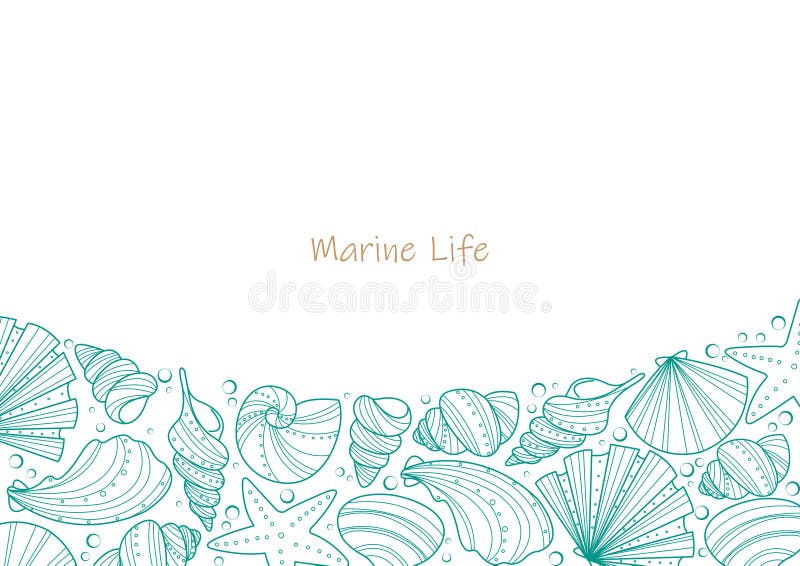 Sea Shell Doodle Frame Vector for Decoration on Summer Holiday. Stock ...