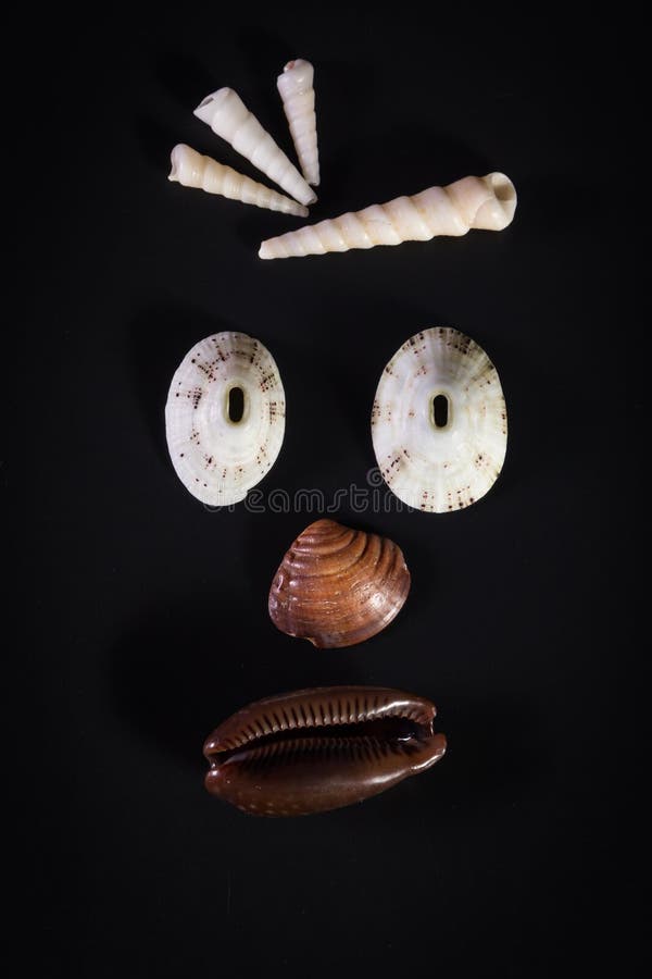 Sea shell faces stock photo. Image of identifiable, full - 103033924