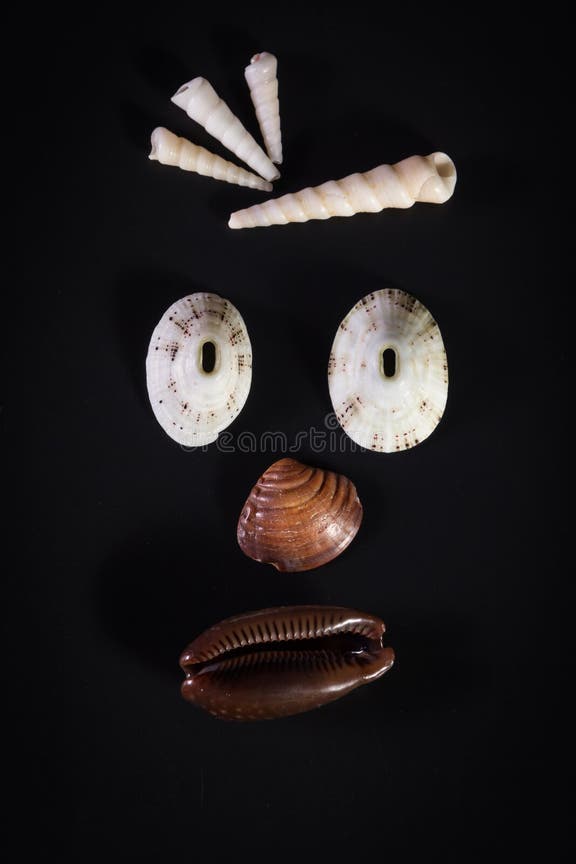 Sea shell faces stock photo. Image of identifiable, full - 103033924