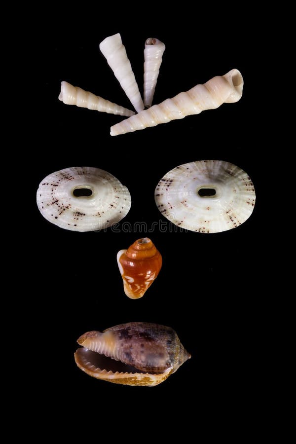 Sea shell faces stock photo. Image of guide, emotional - 103033942