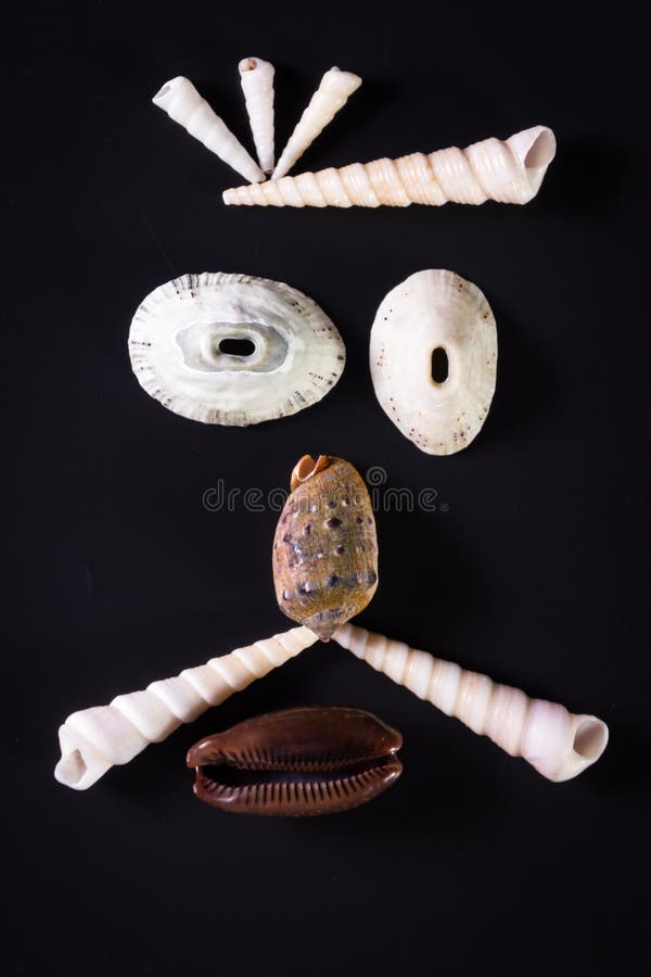 Sea shell faces stock photo. Image of expression, create - 103033960