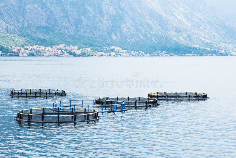 A Sea-shell Farm Overlooking the Mountains and the Sea Stock Photo ...