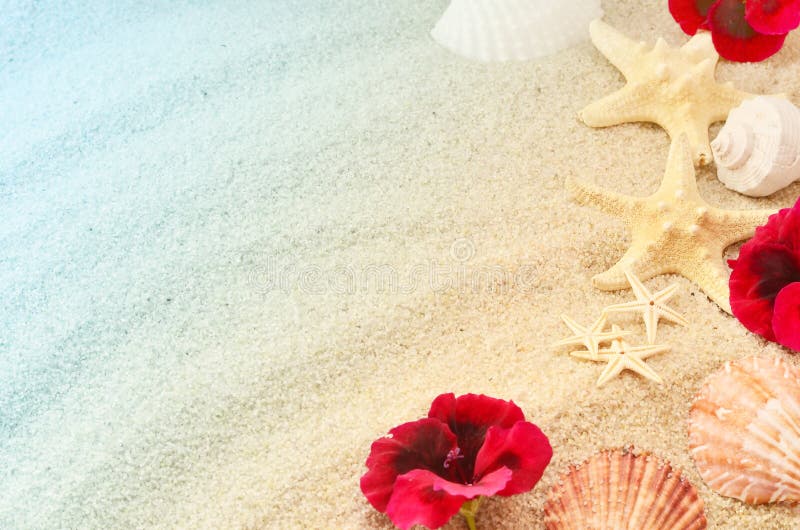 Sea Shell and Flowers on Sand, Top View, Summer Concept Stock Photo ...