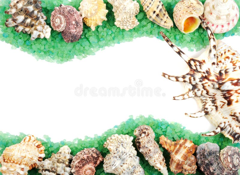 Sea shell frame stock image. Image of nature, mollusk - 24423615