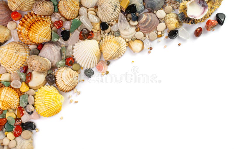 Sea Shell Frame, Multicolored Seashells Border, Mollusc Shells Pattern ...