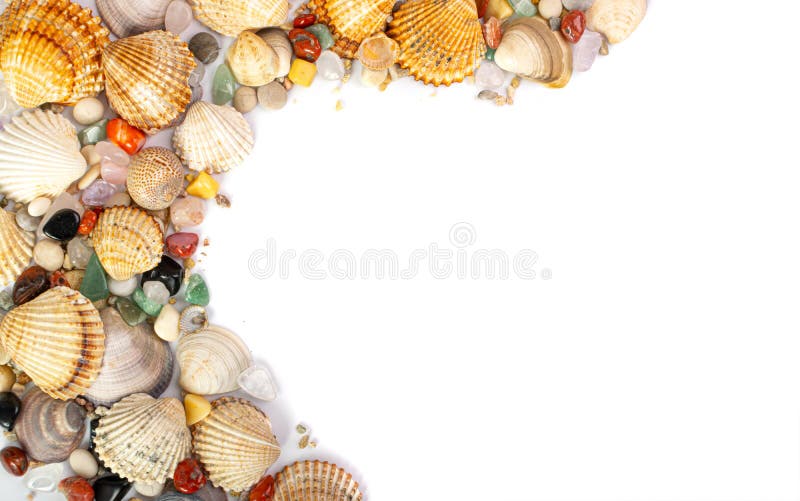 Sea Shell Frame, Multicolored Seashells Border, Mollusc Shells Pattern ...