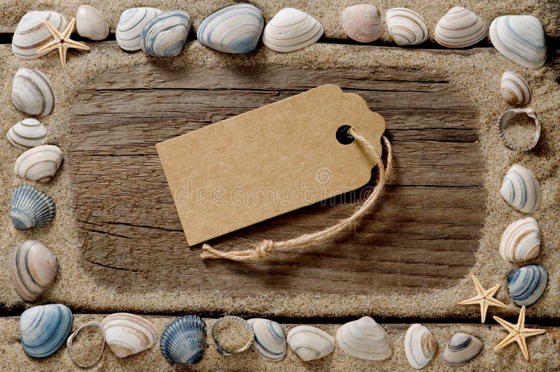 Sea Shell Frame on Wood with Cardboard and Copy Space Stock Image ...