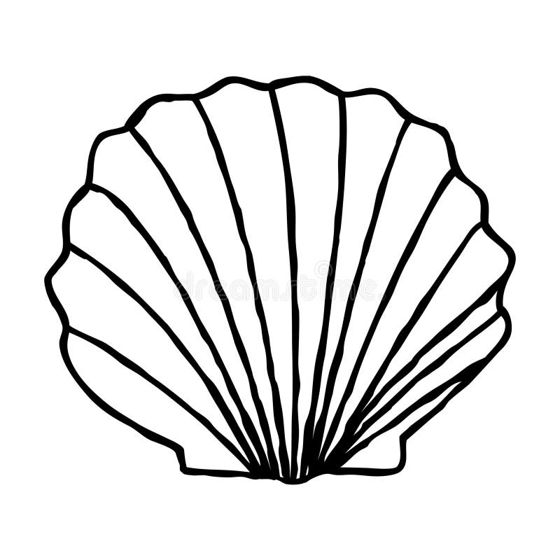 Sea Shell Hand Drawn in Thin Line Style Stock Illustration ...