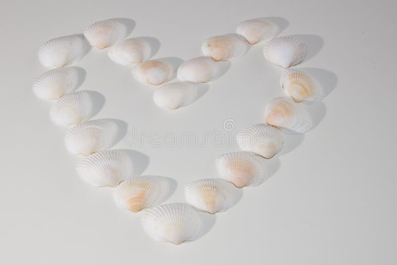 Seashell heart shape stock image. Image of heart, love - 5361375