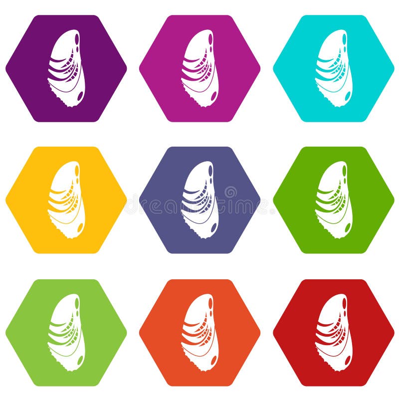 Sea Shell Icons Set 9 Vector Stock Vector - Illustration of shell ...
