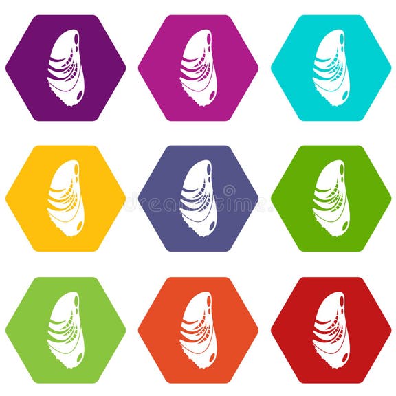 Sea Shell Icons Set 9 Vector Stock Vector - Illustration of shell ...