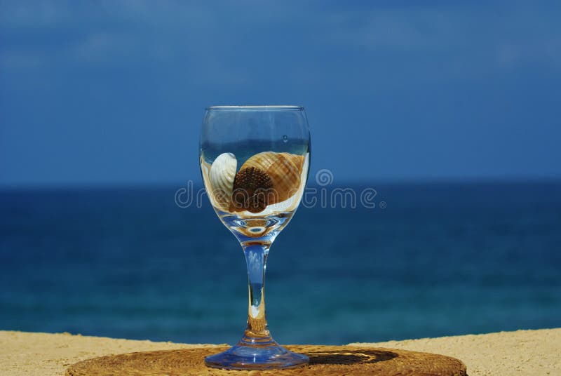 Sea Shell Inside of Glass of Wine Stock Image - Image of harbour ...