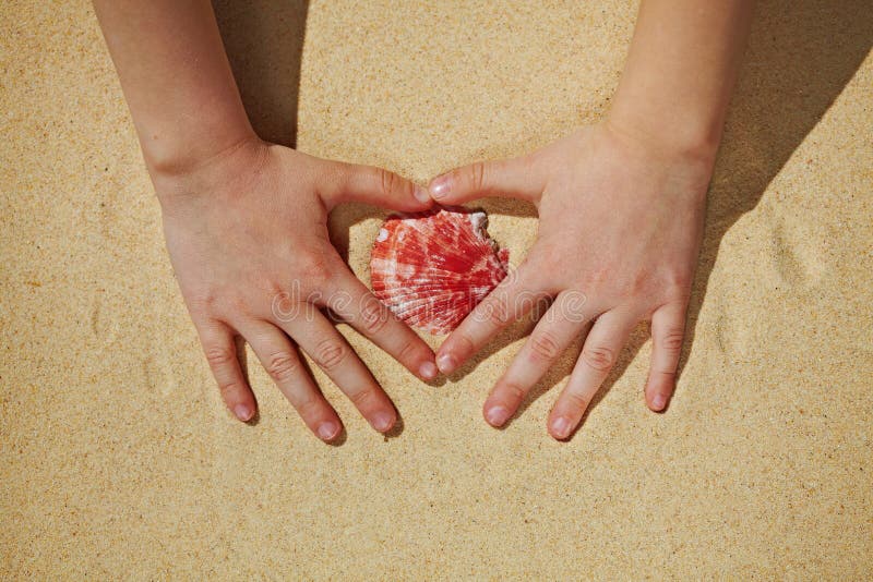 Sea Shell Inside Kids Hand As a Symbol of Protection and Safety Stock ...
