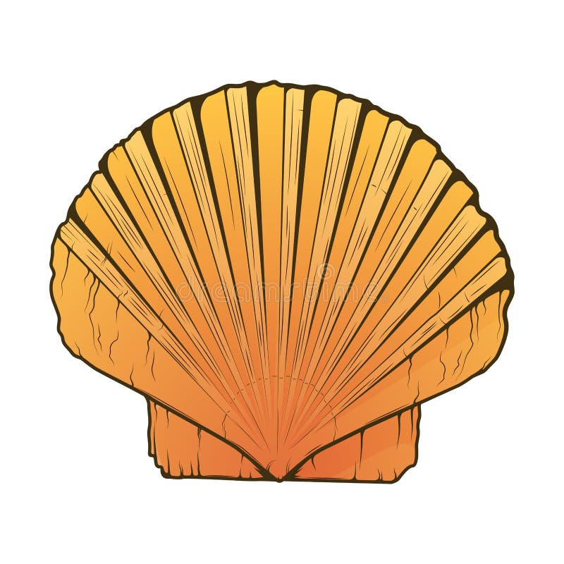 Single Line Sea Shell Stock Illustrations – 442 Single Line Sea Shell ...