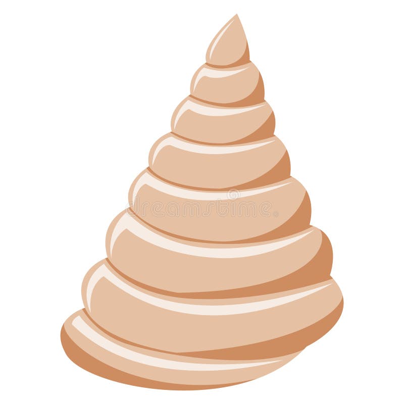 Sea Shell Isolated on White Background Stock Illustration ...