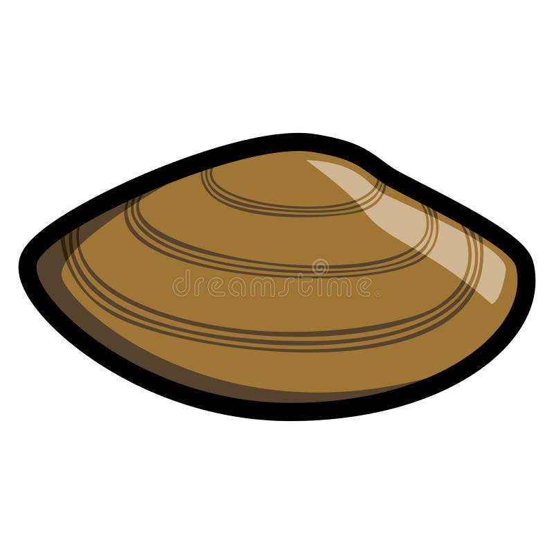 Sea Shell Isolated on White Background Stock Illustration ...