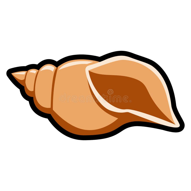 Sea Shell Isolated on White Background Stock Illustration ...