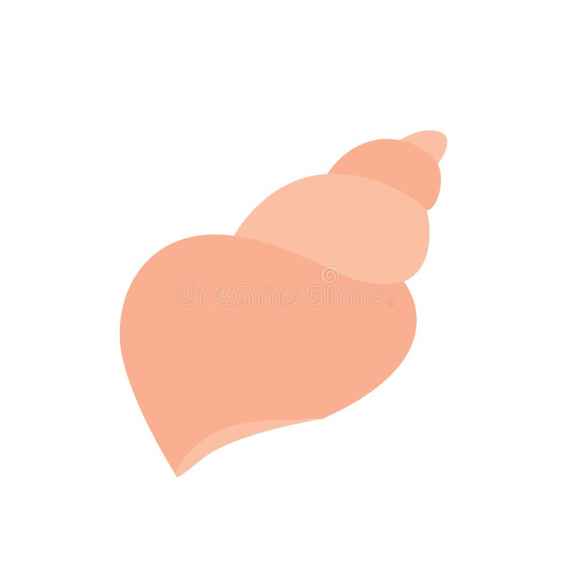Sea Shell Isolated on White Background Vector Stock Vector ...