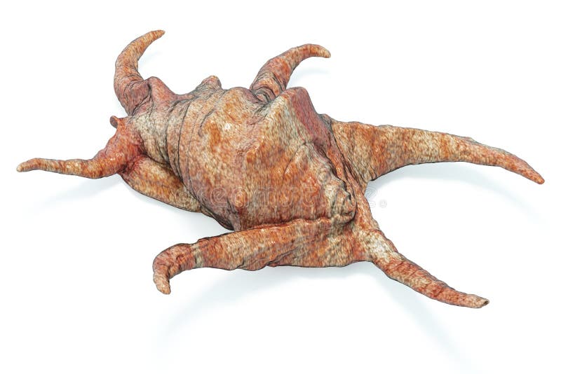 Harpago Chiragra stock illustration. Illustration of life - 185669504