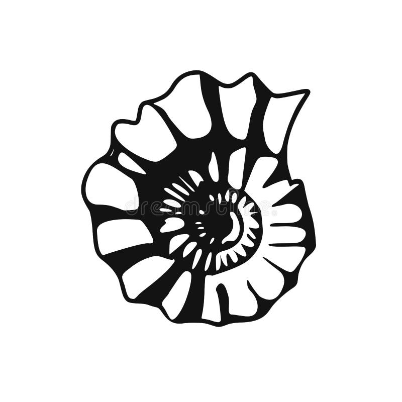 Sea shell logo . stock vector. Illustration of ocean - 167129156