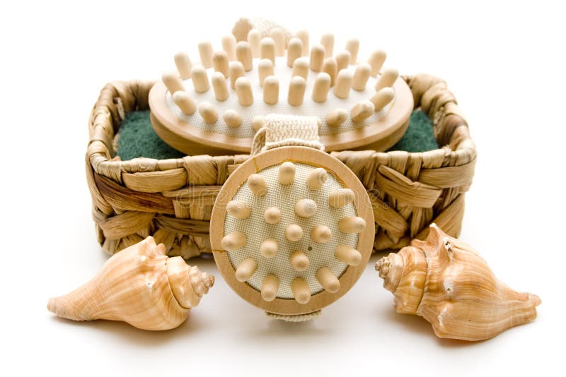 Sea Shell with Massage Brush Stock Photo - Image of blank, wood: 23323048