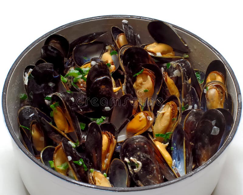 Sea shell meal stock image. Image of delicious, shell - 7800555