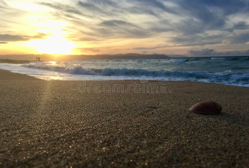 Sea Shell on Mediterranean Sea Beach at Sunset Evening Time in Skikda ...