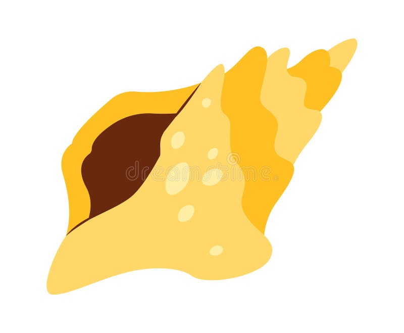 Sea Shell Mollusk stock vector. Illustration of summer - 277933734