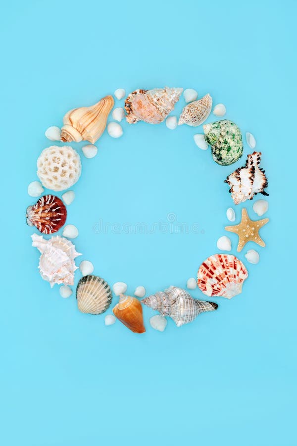 Sea Shell Natural Summer Wreath Stock Photo - Image of shell, natural ...
