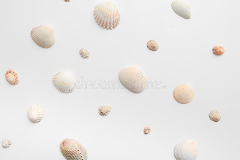 Seaside themed pattern stock image. Image of ocean, flat - 139840273