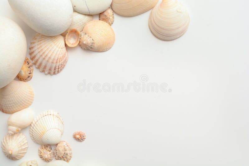 Seaside themed pattern stock photo. Image of objects - 139840292