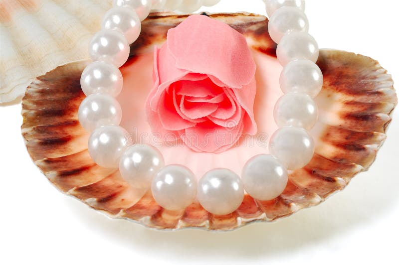 Sea Shell with Pearls and a Rose Stock Photo - Image of pearls ...