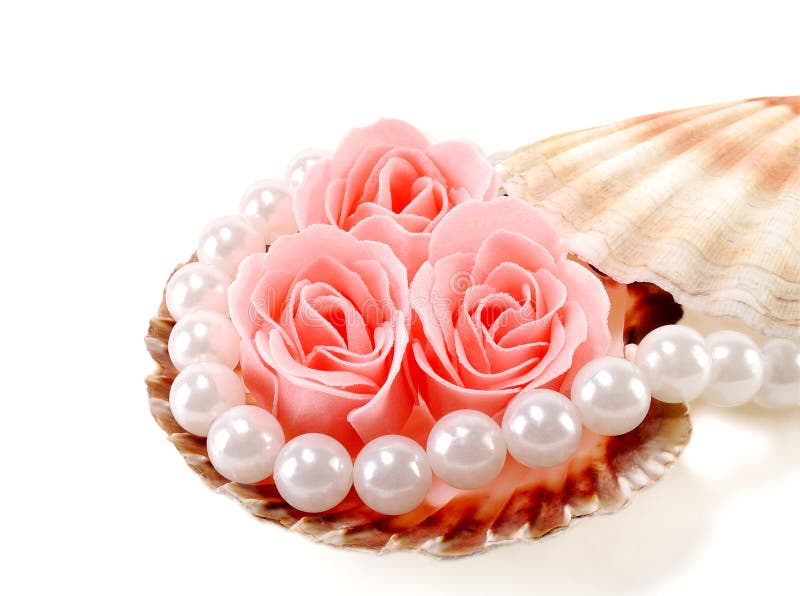Sea Shell with Pearls and a Rose Stock Image - Image of detail, flowers ...