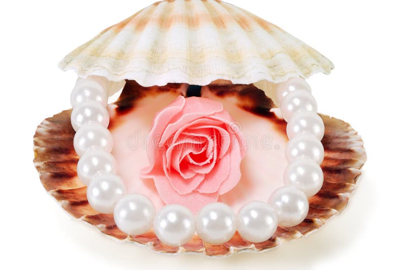 Sea Shell with Pearls and a Rose Stock Photo - Image of clamshell ...
