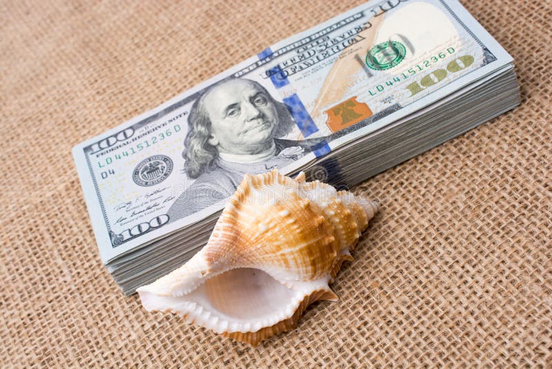 Sea Shell on Spread US Dollar Banknotes Stock Photo - Image of money ...