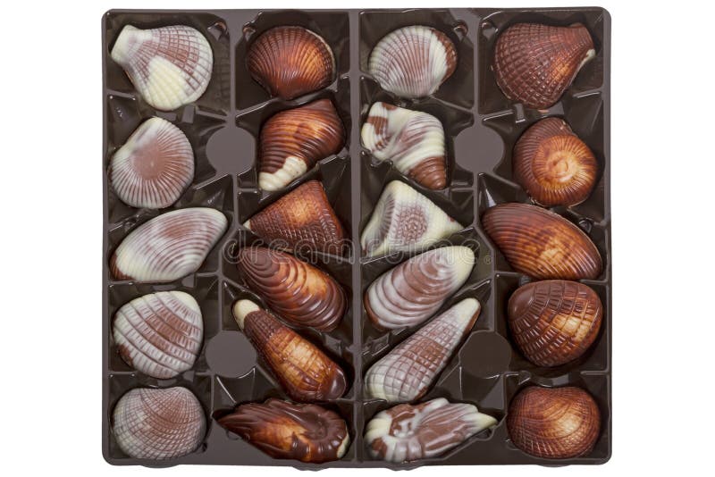 Sea Shell Pralines stock image. Image of candy, white - 41926695