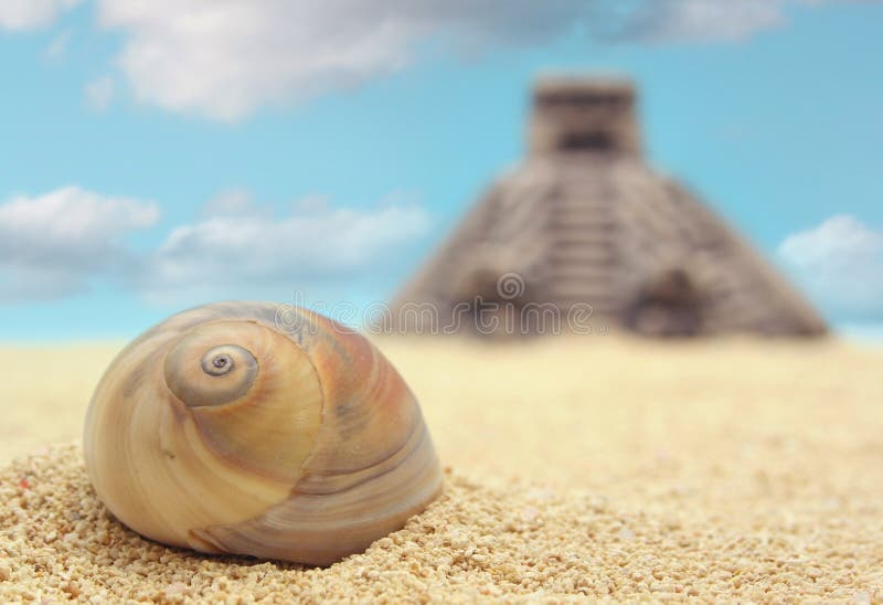 Sea Shell with Pyramid, Shallow Depth of Field Stock Photo - Image of ...