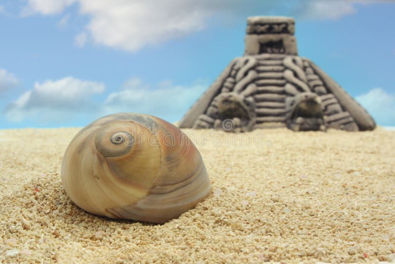 Sea Shell with Pyramid, Shallow Depth of Field Stock Image - Image of ...