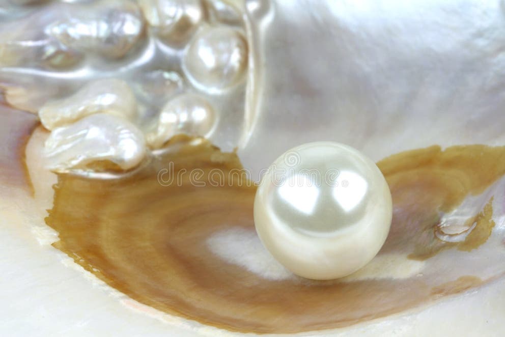 Sea Shell with Real Pearls, Macro Shot Stock Photo - Image of rare ...
