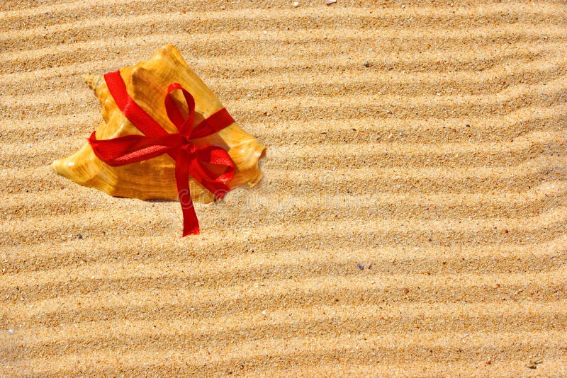 Sea Shell with Red Ribbon and Gold Sand Stock Image - Image of beach ...