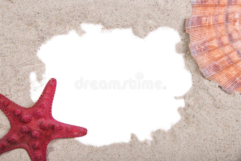 Macro of Sea shell texture stock photo. Image of cerastoderma - 58144364