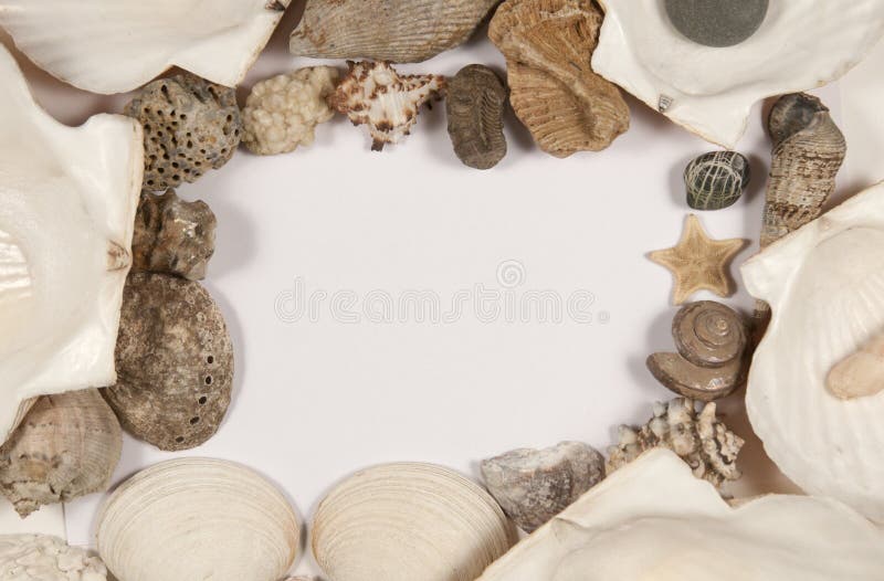 Sea Shell and Reliquaes Frame Border Background. Top View. Stock Photo ...